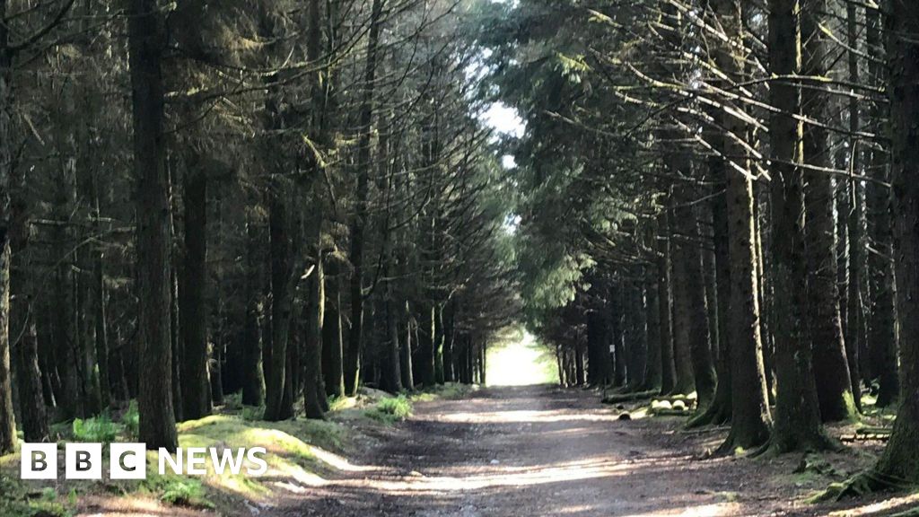 Beach cleaners to tackle litter in Isle of Man plantation