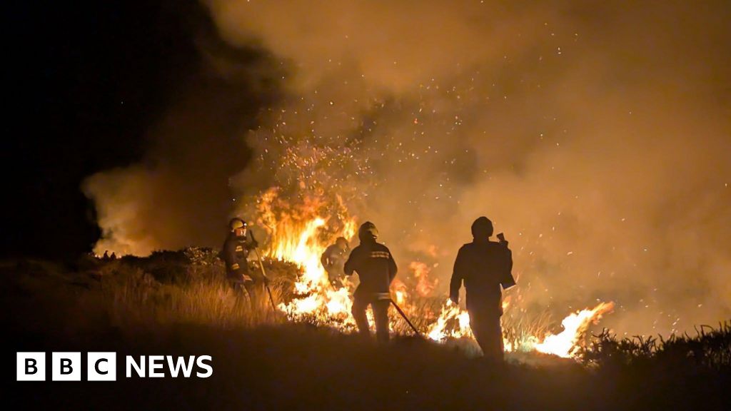 Appeal after three 'deliberate' fires on Devon moorland - BBC News