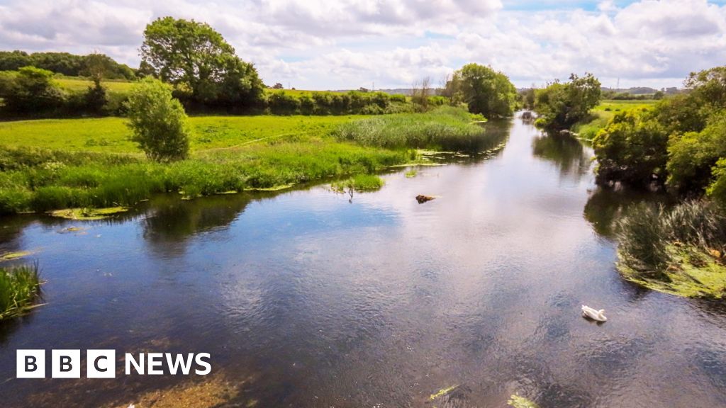 Dorset's Big Picture: 24 June - 30 June 2024 - BBC News