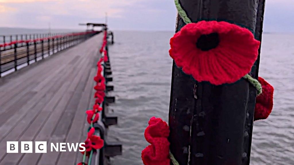 Video shows striking 110,000-poppy display on Southend Pier
