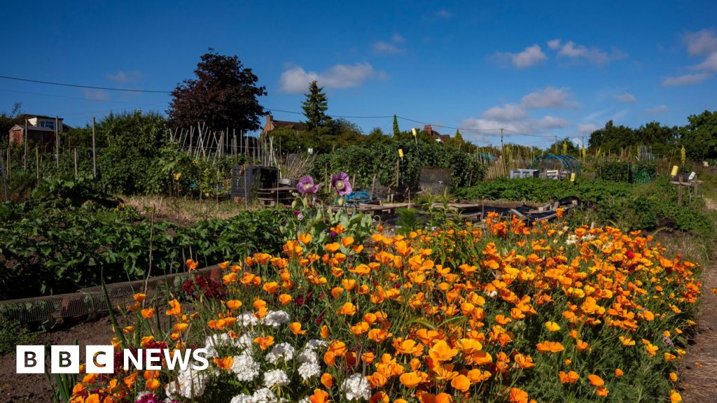 Oxfordshire's Big Picture: 17 June - 23 June 2024