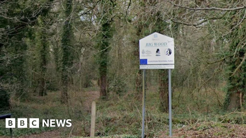 Manchester: Police drop murder probe into body found in woods - BBC News