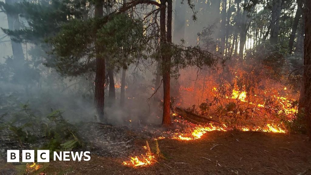 Crews ramped up to bring Holton Heath blaze under control