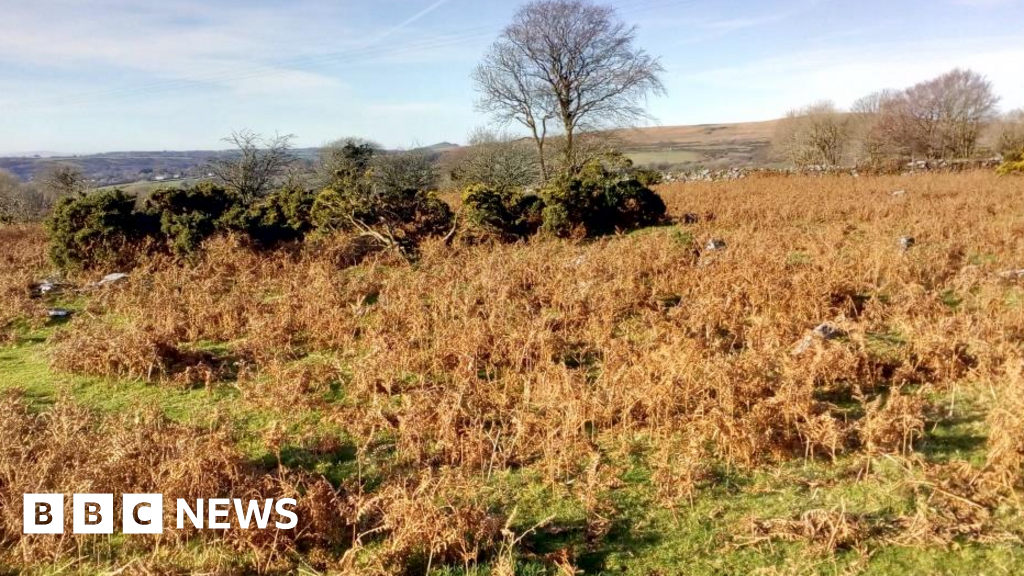 Eighty five acres added to Dartmoor common land - BBC News