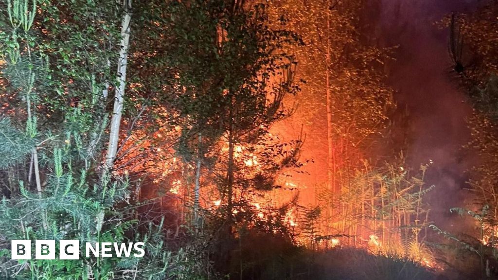 Holt Country Park fire tackled by crews from 13 stations - BBC News