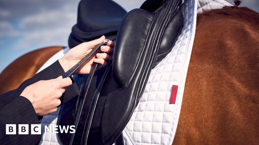 Surrey Police offers saddle marking after Tandridge theft