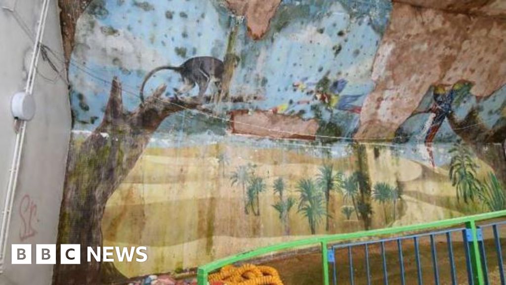 Oasis leisure centre: mouldy murals show impact of closure