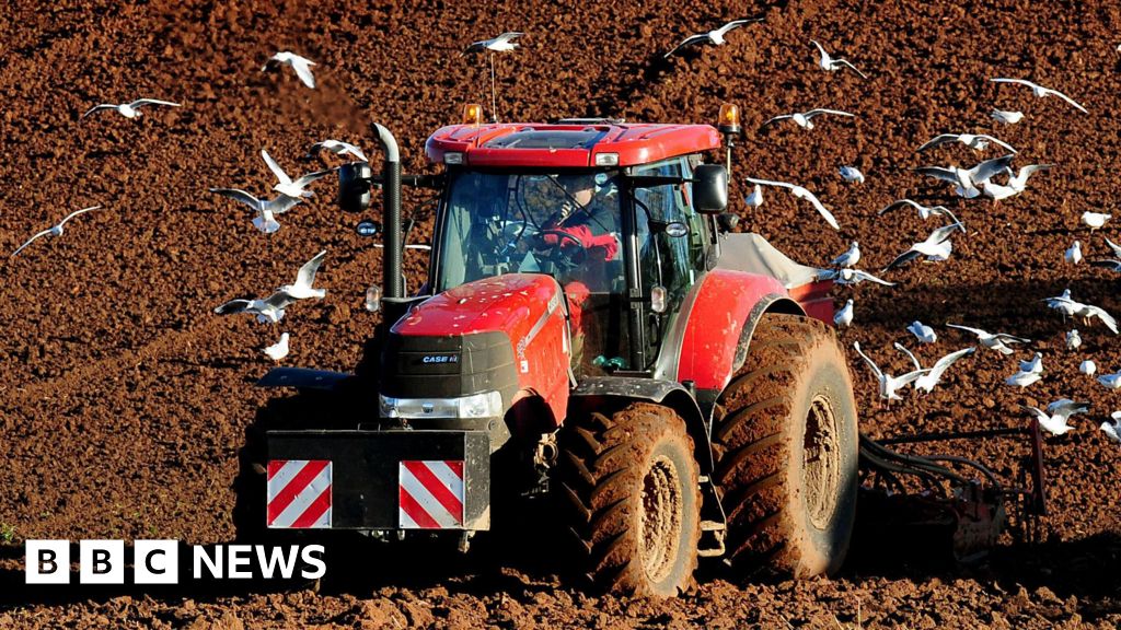 Farmers take on Herefordshire Council in the High Court - BBC News