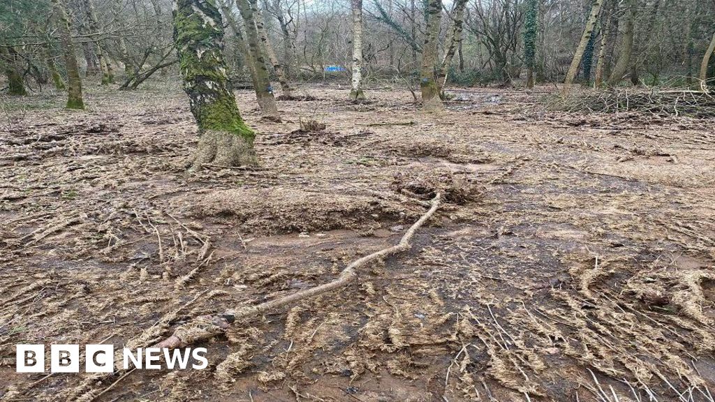 Farmer contaminates Somerset water supplies with slurry