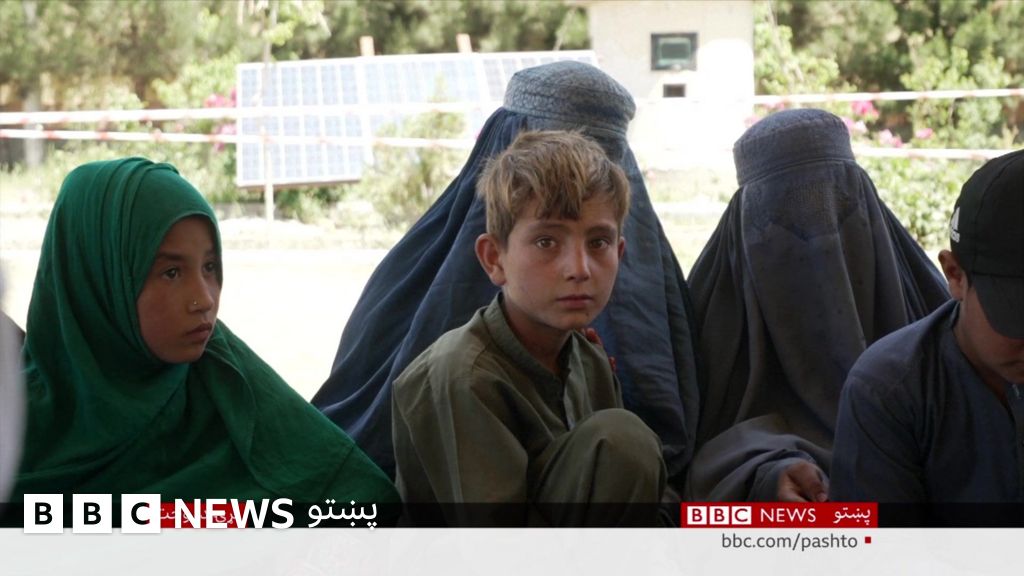 د افغانستان اقتصاد ۲۰۲۳ کال کې يې ننګونې څه وې؟ Bbc News پښتو