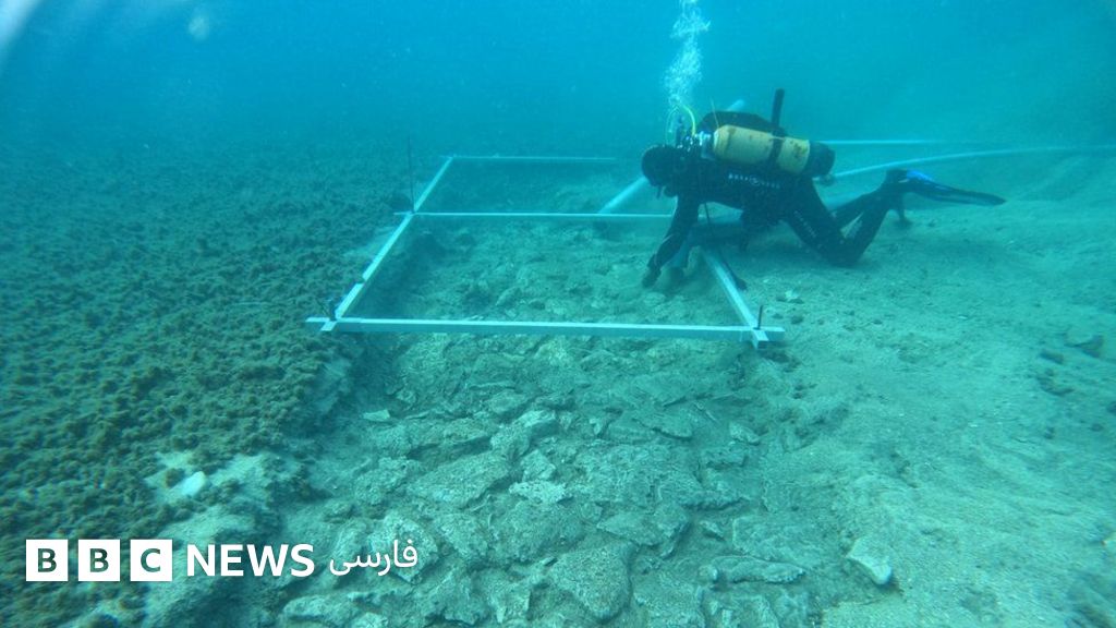 جاده ۷ هزار ساله ساخته شده توسط انسان‌های اولیه در ته دریا کشف شد - BBC ...