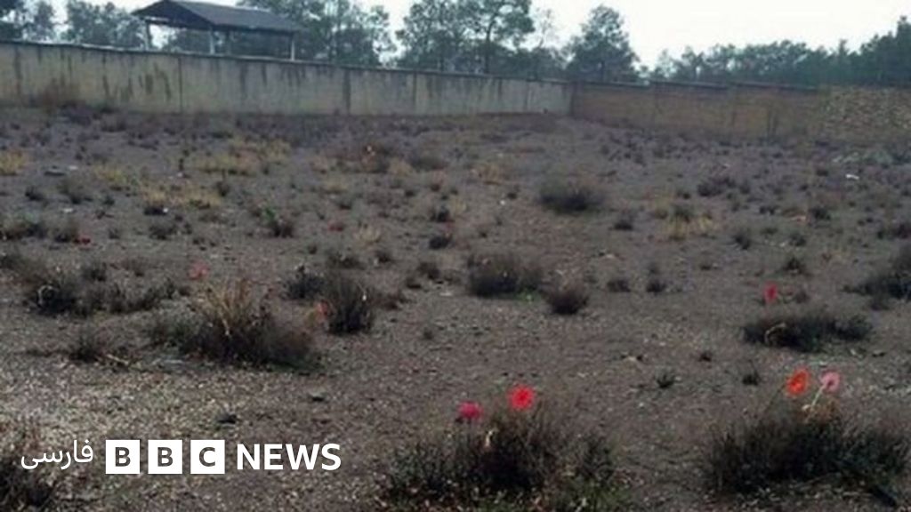 عفو بینالملل نامه سازمان ملل درباره اعدامهای ۶۷ را یک دستاورد بزرگ