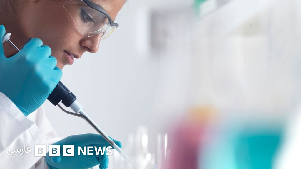 نتایج نویدبخش یک داروی سرطان در همان مراحل اولیه Bbc News فارسی