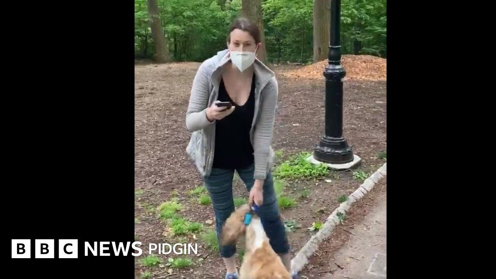 Amy Cooper: Franklin Templeton sack white woman wey call police say ...