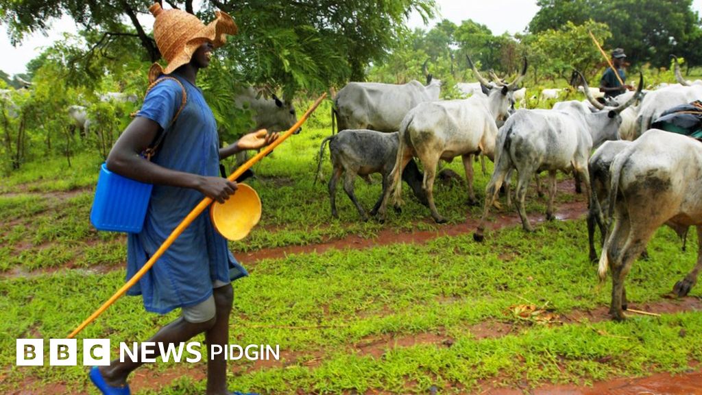 Fulani herdsmen: Ghana gov't build cattle ranch to control wahala - BBC ...