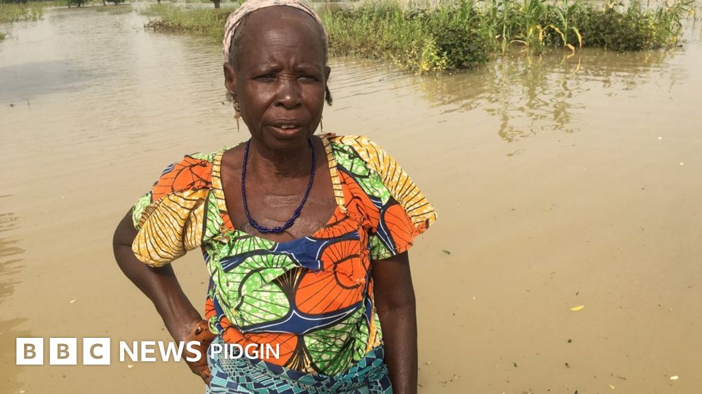 Jigawa flooding: Pictures and tori of how water destroy houses, farms, cut off communities and ...