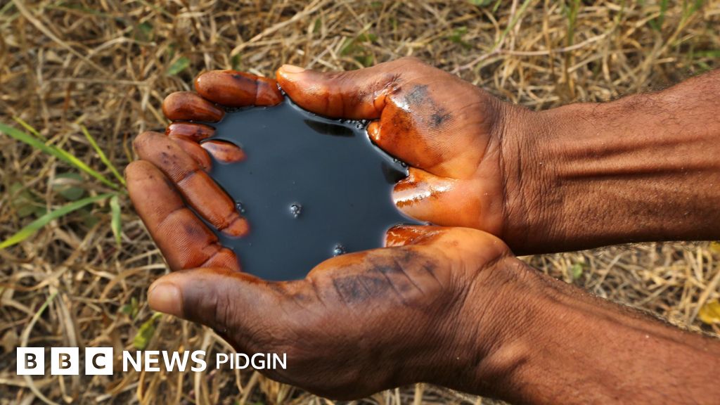 Oil producing states in Nigeria: Nasarawa join states wey dem discover ...