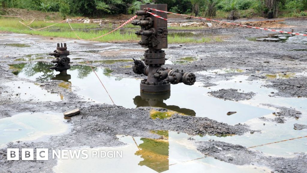 Shell oil spill: Nigerians don lose court case inside UK - BBC News Pidgin