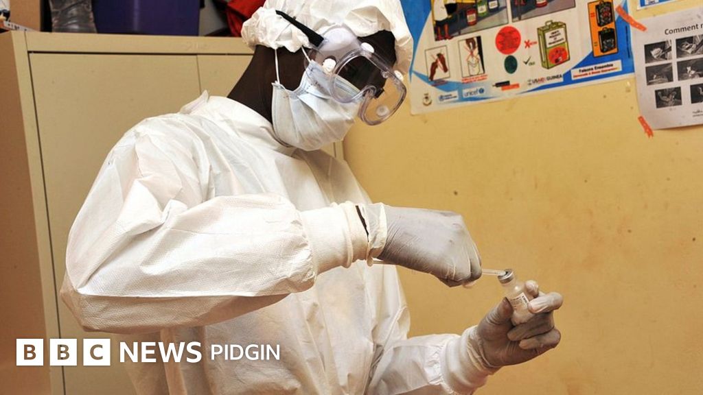 Lassa Fever: Nigeria want help from WHO, US - BBC News Pidgin