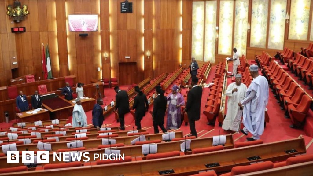 INEC result: Confam list of 2019 Nigeria elected Senators - BBC News Pidgin