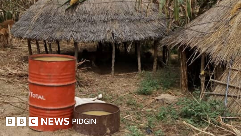 Kano village wey chief order no gree pipo marry - BBC News Pidgin