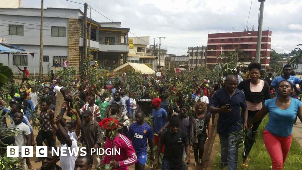 Cameroon Anglophone Crisis: UK say dem want sharp-sharp action for ...