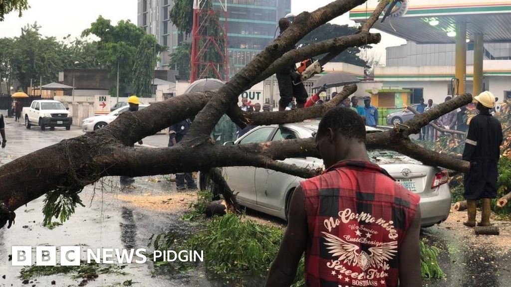 Lagos heavy rain fall two buildings, trees and electric poles - BBC ...