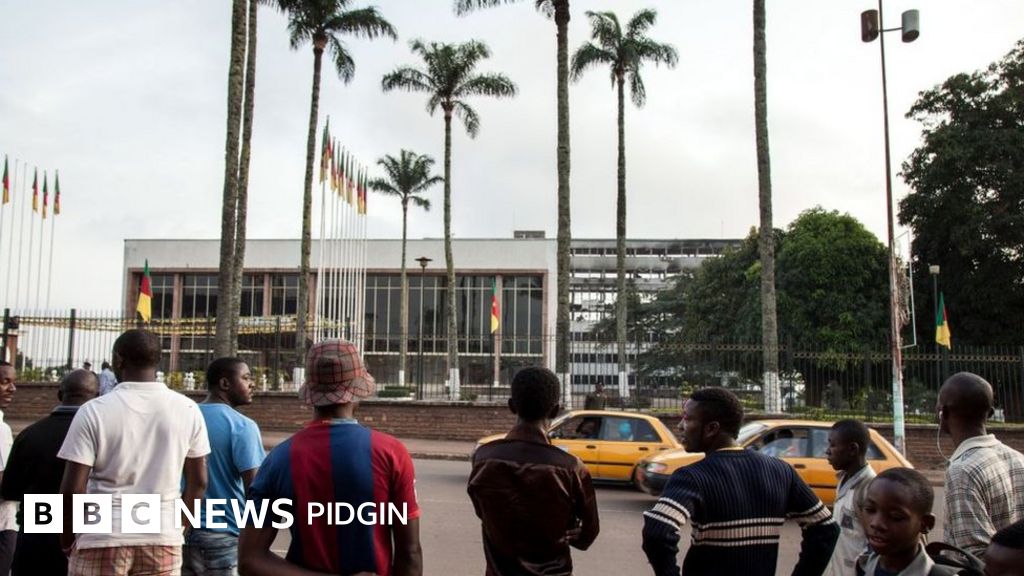 Cameroon: Minority party say fight no happen for parliament - BBC News ...