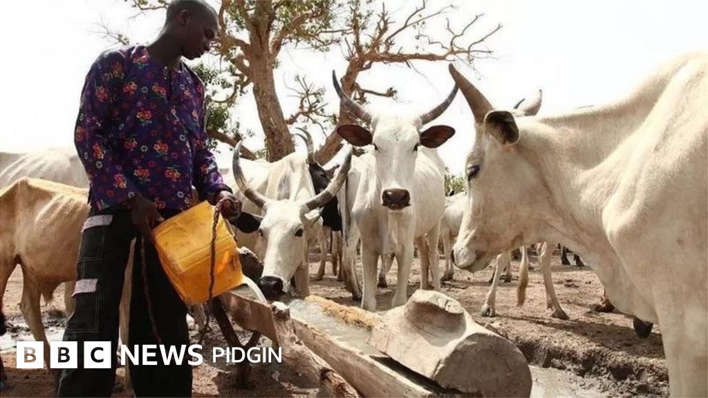 Ipob: Foodstuff and Cattle Dealers of Nigeria reply di Indigenous ...