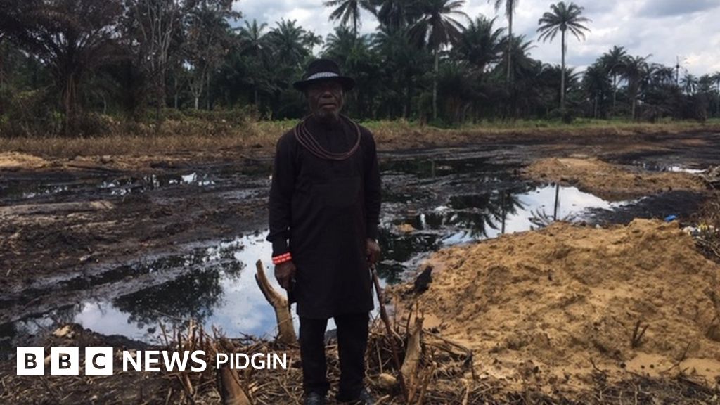 Ubeta pipeline explosion destroy plenti farms and fish pond for Rivers ...