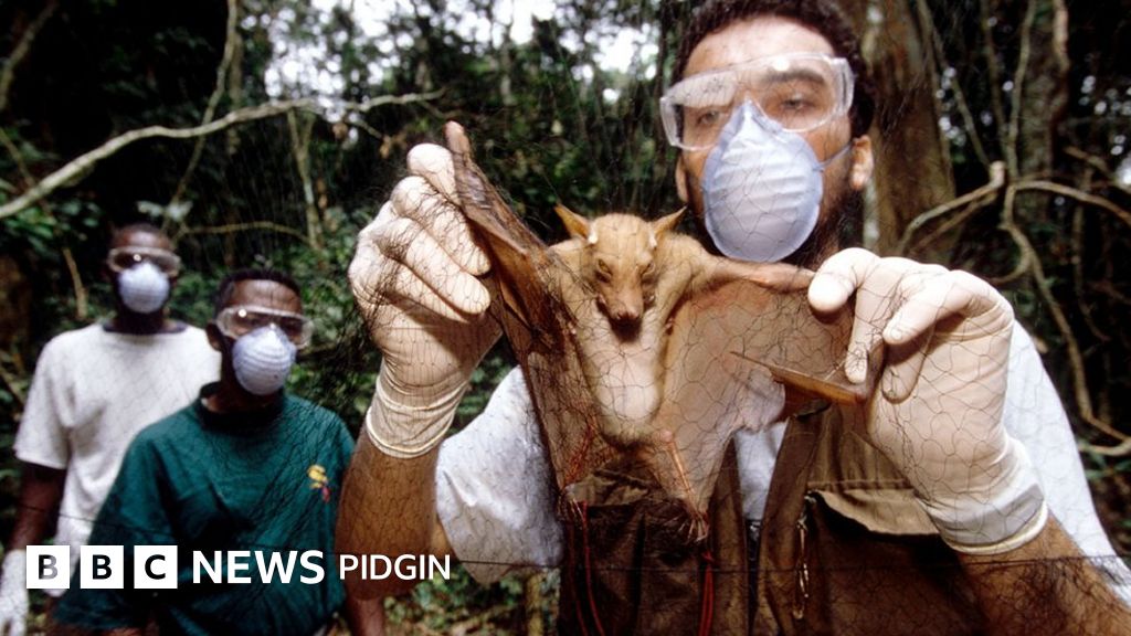 Coronavirus: Covid-19 no be di last pandemi? Dis na wetin we know - BBC News Pidgin