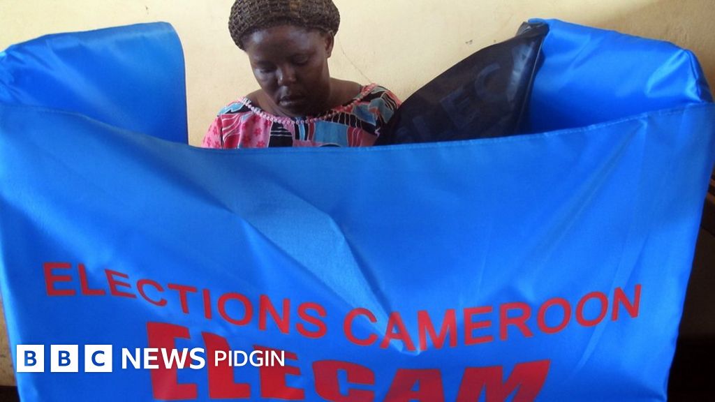 Cameroon go elect senators for March - BBC News Pidgin