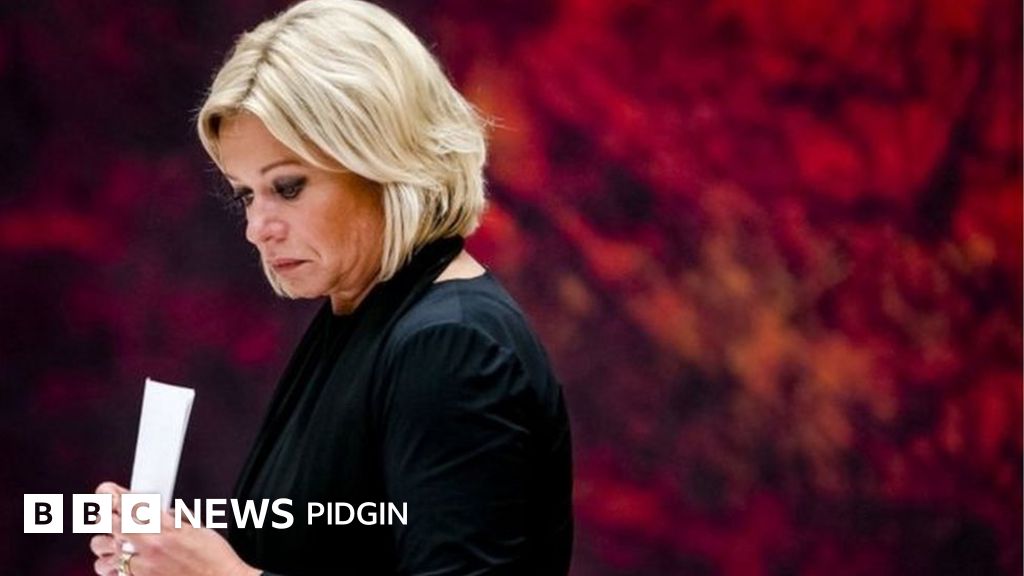 Mali: Dutch Minister comot on top death of UN peacekeepers - BBC News ...