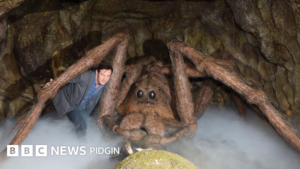 Harry Potter: Why dem name dis insect after im enemy? - BBC News Pidgin