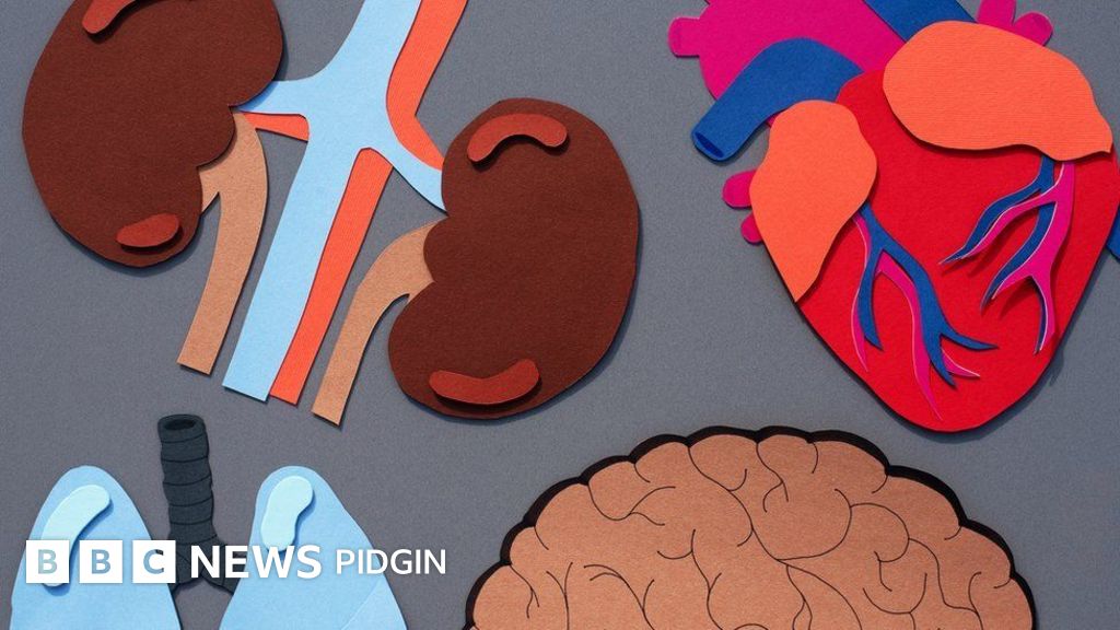 Blood test fit show if organs dey age fast or slowly - Scientists - BBC ...