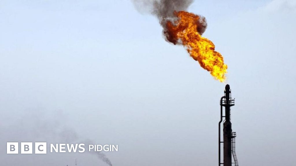 Cop27 Why Fossil Fuel Lobbyists Rise For Climate Change Summit Bbc