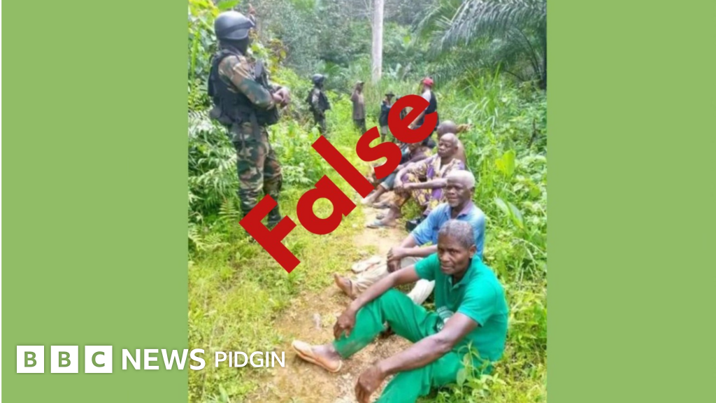 Fact Check: Nigerian army detain elderly men for forest for southeast? - BBC News Pidgin