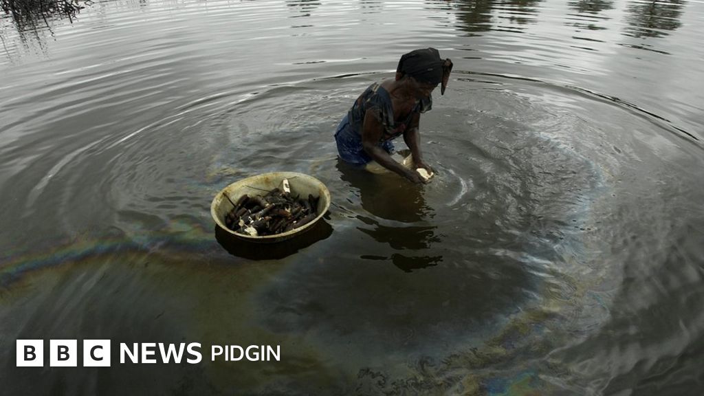 Netherland court give Ogoni widows go ahead to cari Shell go court ...