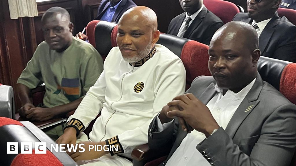 Nnamdi Kanu trial: Witness testify against Ipob leader behind cover as ...