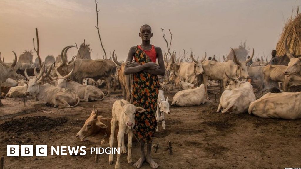 Nigeria herdsmen attack: Four people don die for Ebonyi - BBC News Pidgin Nigeria herdsmen attack: Four people don die for Ebonyi - BBC News Pidgin
