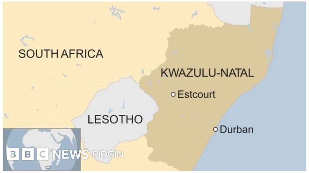 S Africa: 'I don tire to eat human being' - BBC News Pidgin