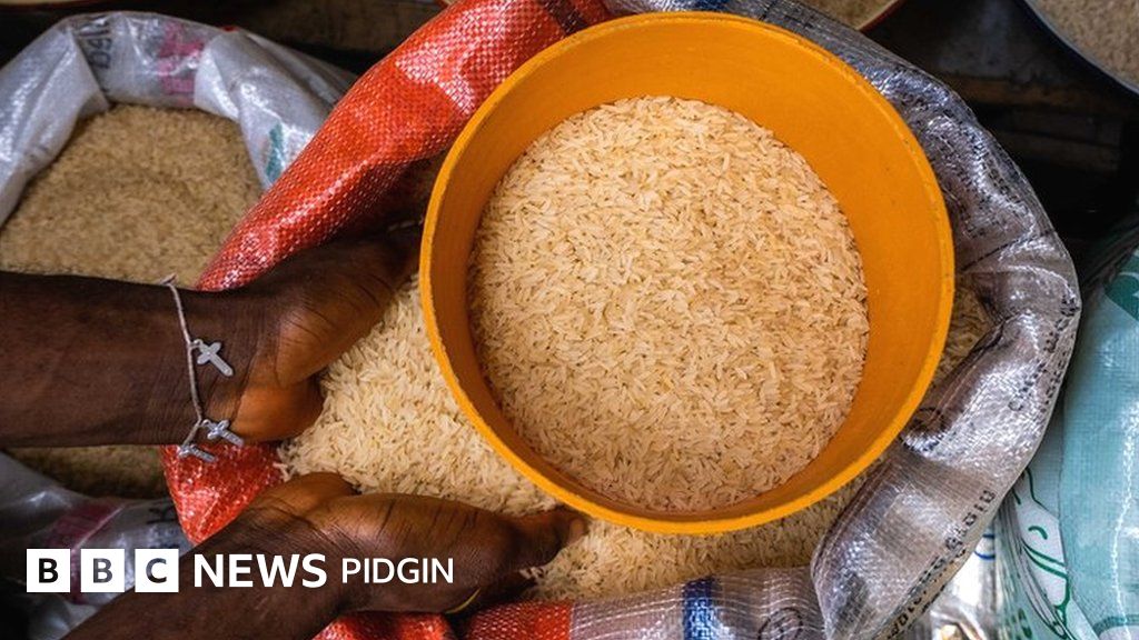 Nigeria rice: Production don increase or na just hype? - BBC News Pidgin