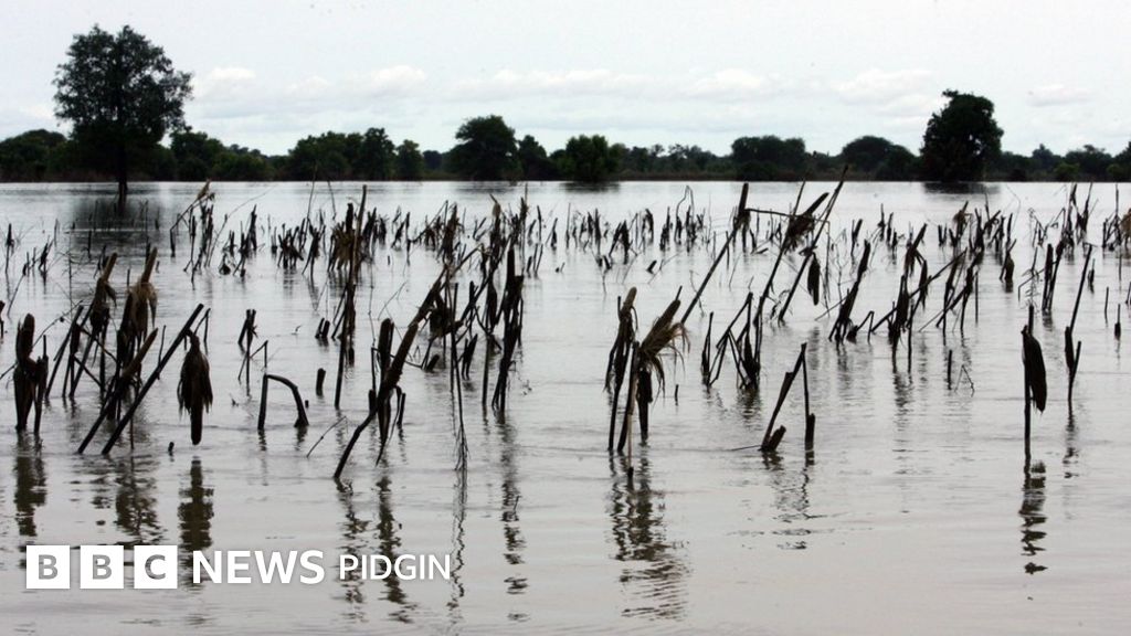 Ghana: Flood alert for White Volta river area - BBC News Pidgin