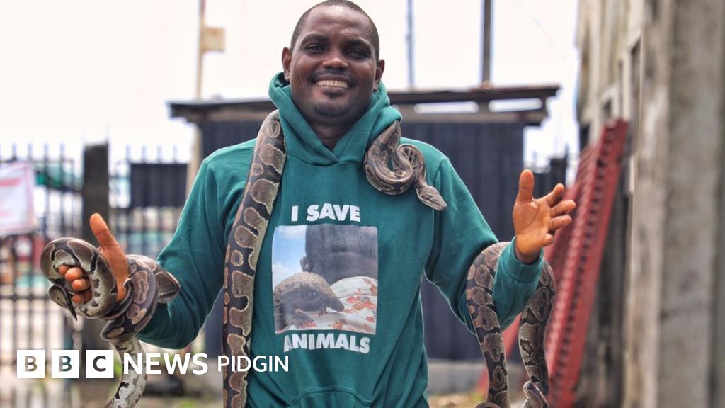 Meet man wey dey save snakes, oda animals for Lagos - BBC News Pidgin