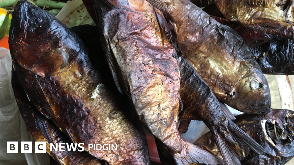 Cameroon: Bifaga fish, cost, scarce as dey destroy mangrove - BBC News ...