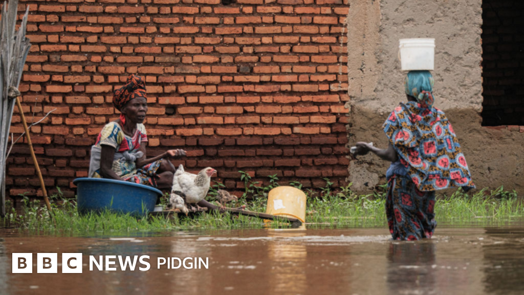 Earth Day meaning, wen e be and wetin e don achieve? - BBC News Pidgin