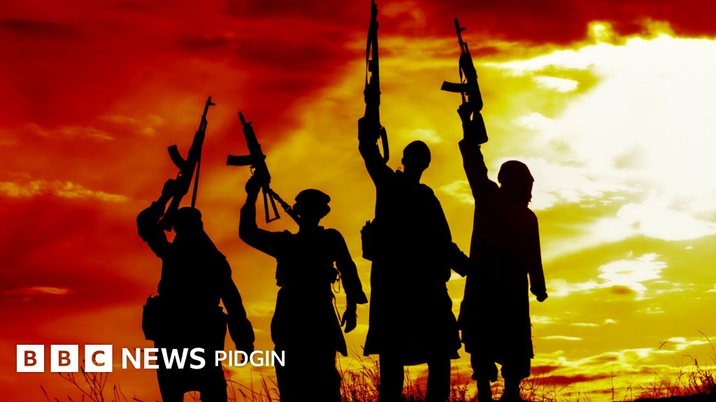 Mahmuda militant group: New armed group emerge for Northern Nigeria - BBC News Pidgin