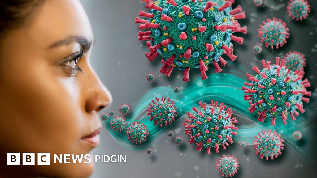 Covid-19 variant XEC: Wetin to know about new covid variant - BBC News Pidgin