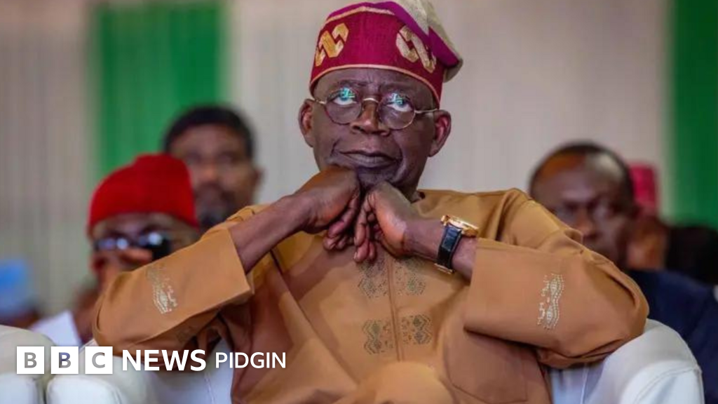 Bola Tinubu: Why Ikenga Ugochinyere, lawmakers dey push for six-year single term for president ...