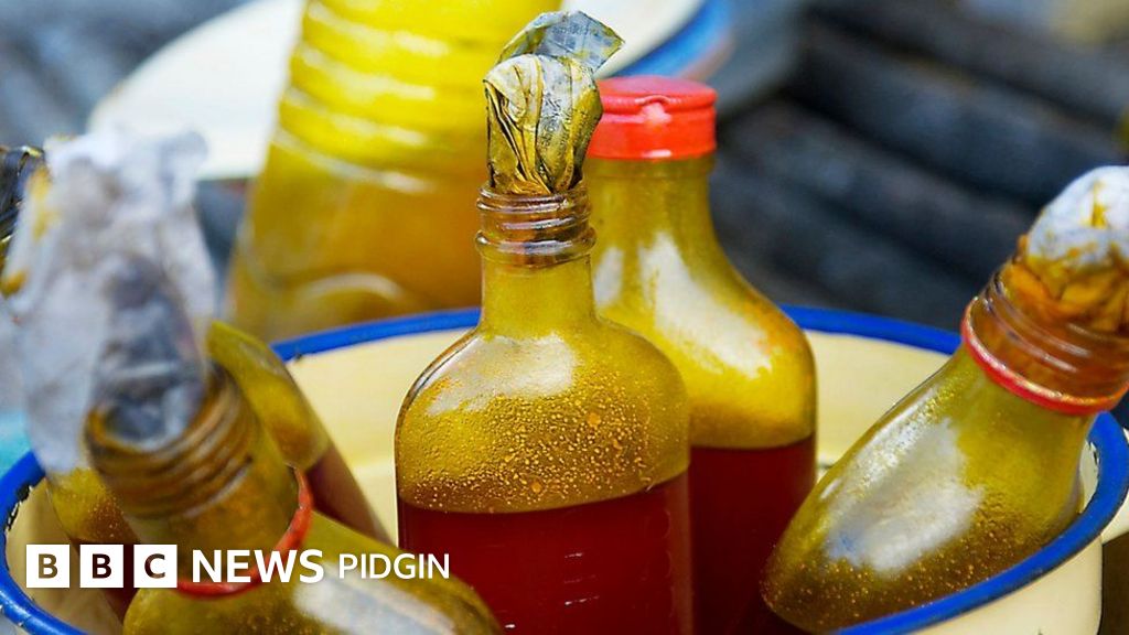 Palm oil, pig fat and oda tins air experts dey explore to take power ...